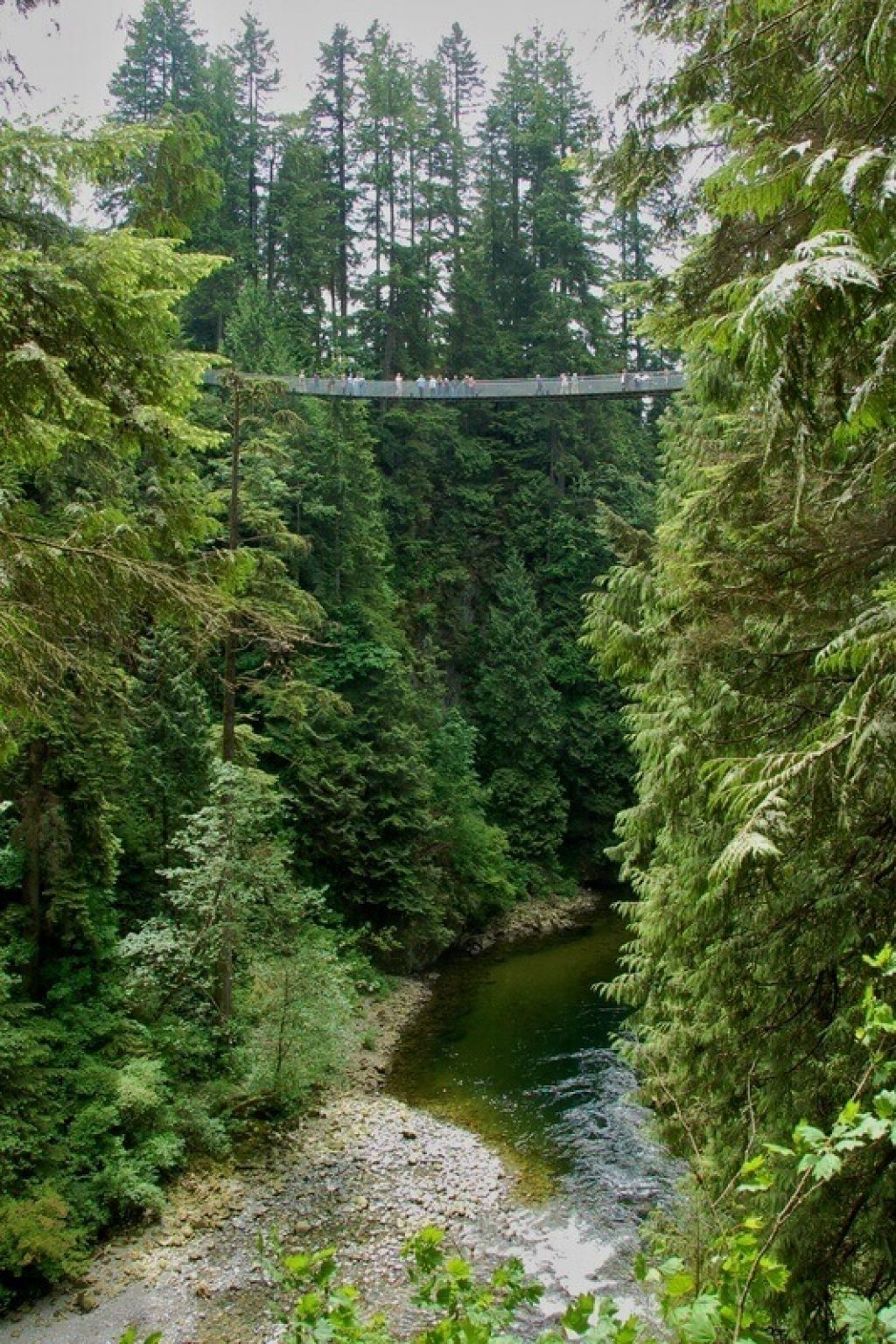 Capilano Suspension Bridge