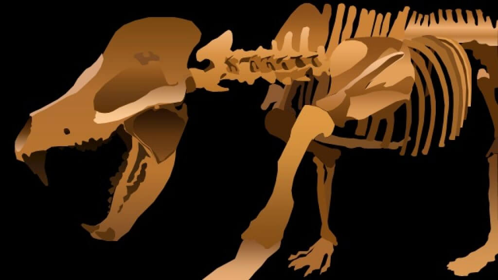 Waheela- the Great White Wolf of Northern Canada