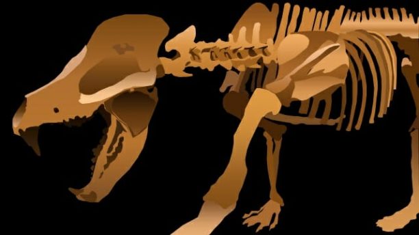 Waheela- the Great White Wolf of Northern Canada