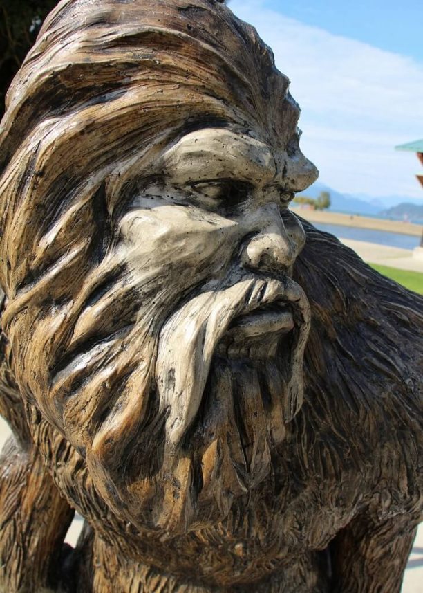 How the Sasquatch Got Its Name