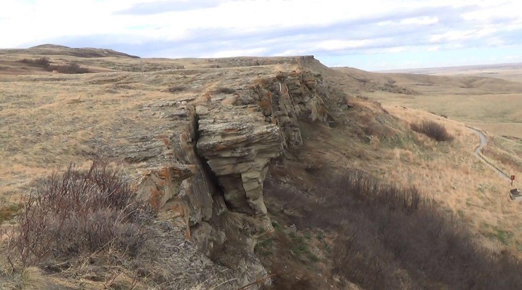 How Canada Saved the Buffalo