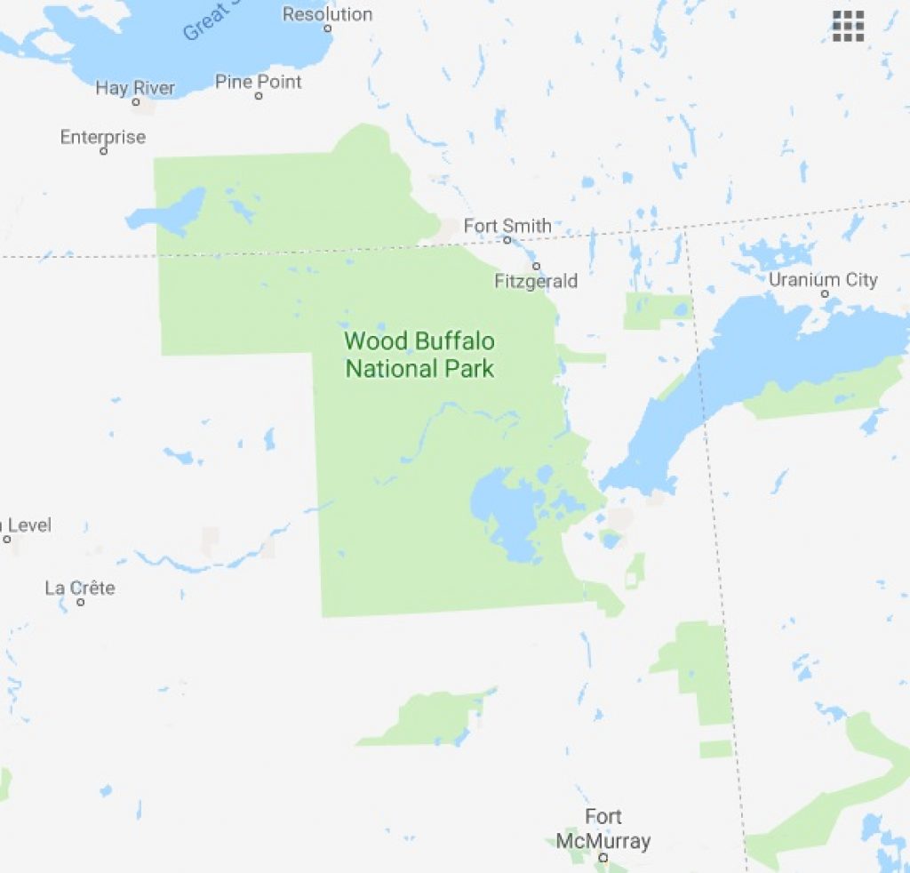 How Canada Saved the Buffalo
