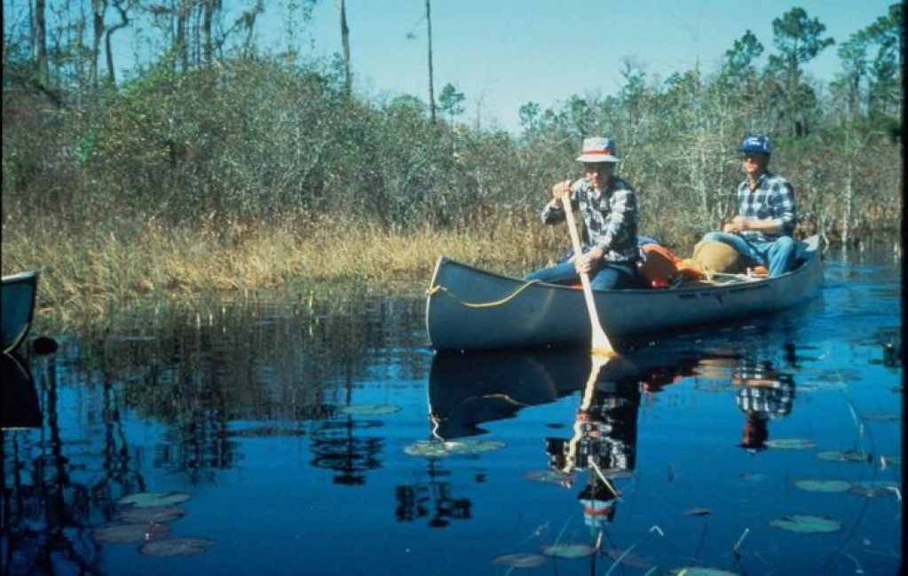 The Little Green Men of Steep Rock Lake