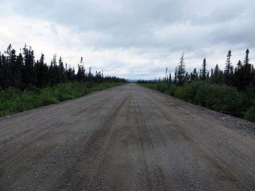 The Traverspine Gorilla- A Wildman From Labrador