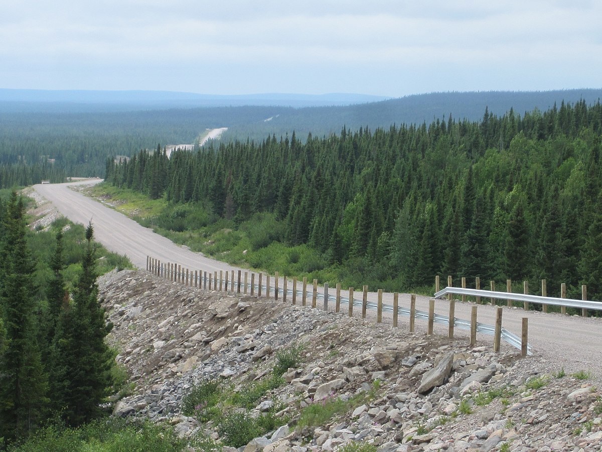 The Traverspine Gorilla- A Wildman From Labrador