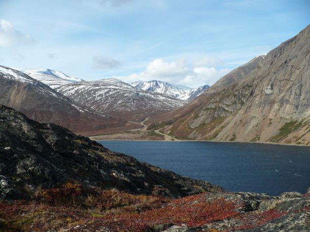 The Traverspine Gorilla- A Wildman From Labrador