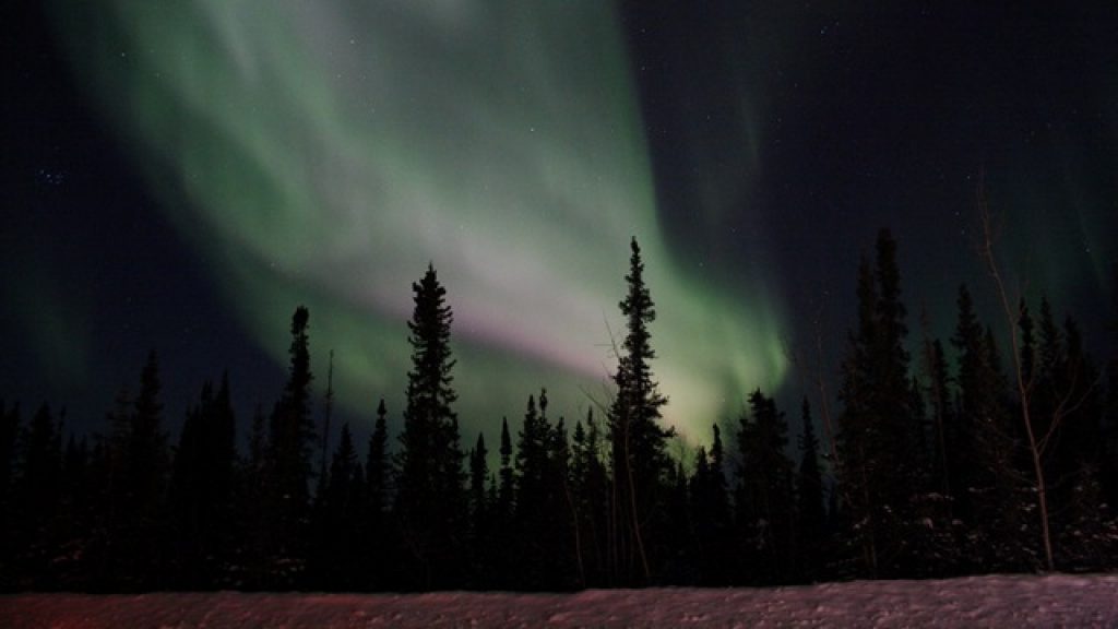 Nakani: The Wildman of the North