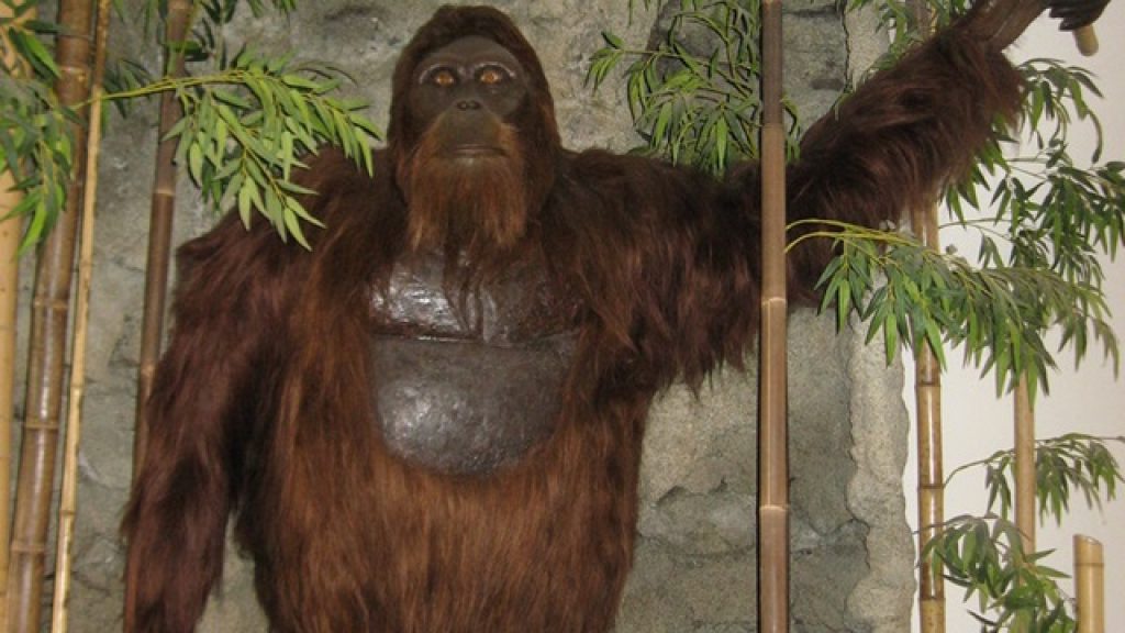 Nakani: The Wildman of the North