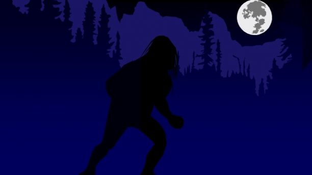 Nakani: The Wildman of the North