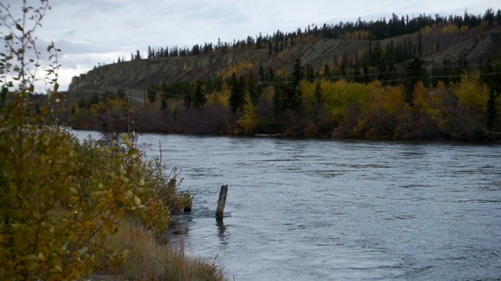 Nakani: The Wildman of the North