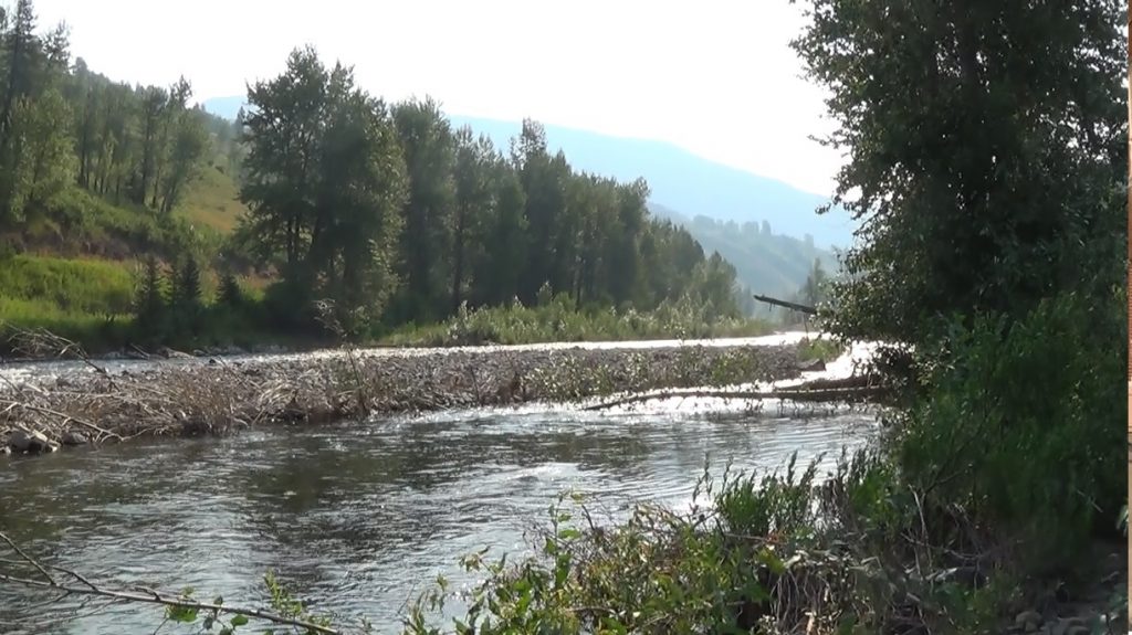 The Legend of the Lost Lemon Mine