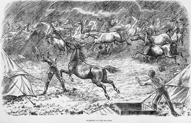 The Mounties’ Great March West