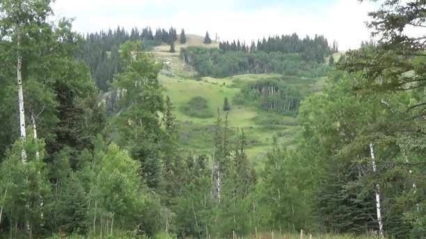 The Murder of Constable Graburn