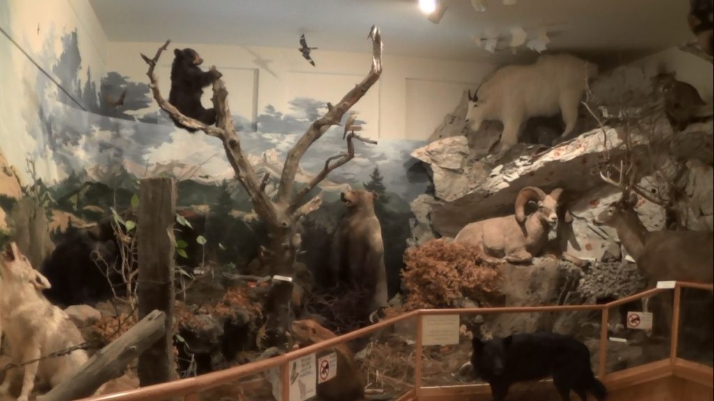 Things to Do in the Crowsnest Pass